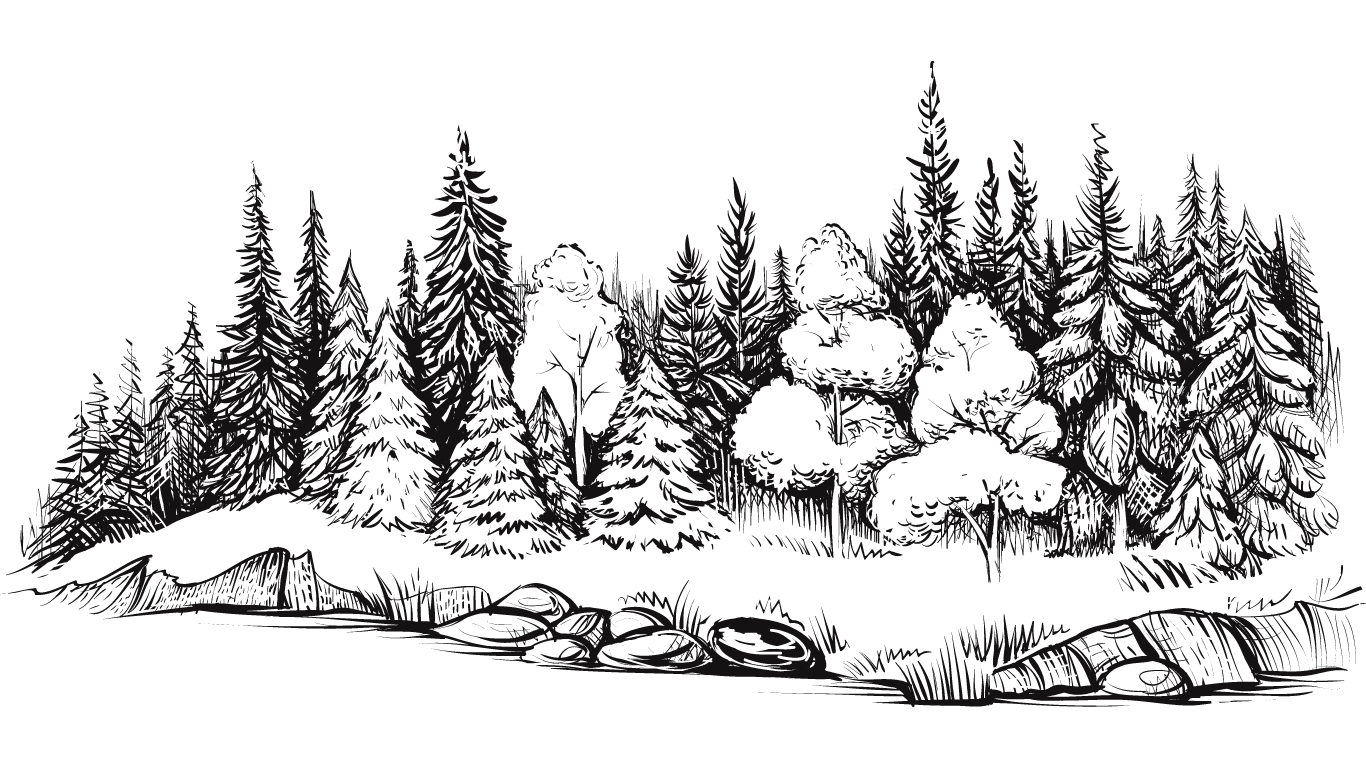 Võsalõikus Timbering